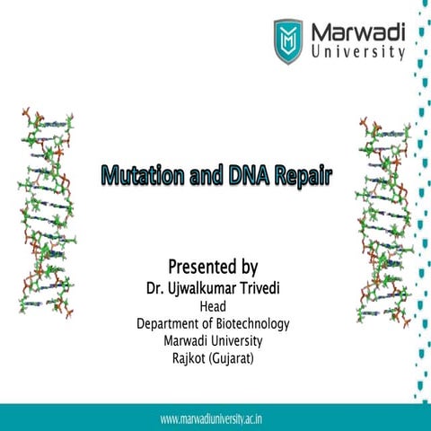 Mutation and DNA repair | PPT