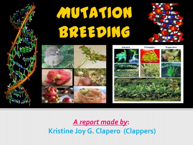 Mutation breeding in flower crops | PPTX