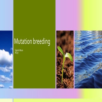 Mutation breeding.pptx