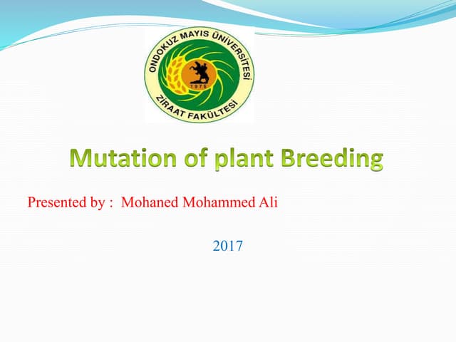 Role of mutation breding in crop improvement | PPTX