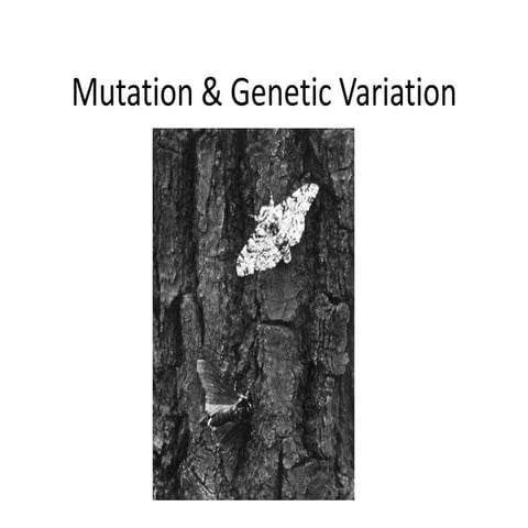 Mutation notes | PPTX