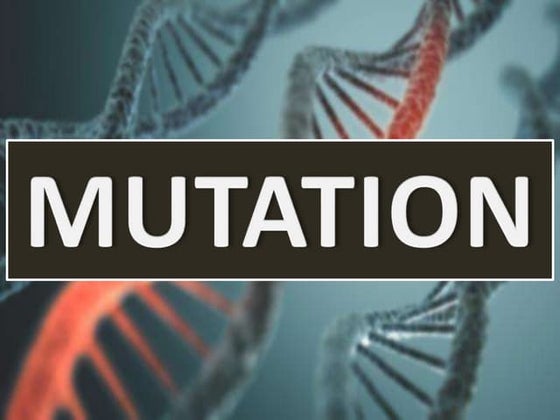 Evolution Science Grade 10 | PPT