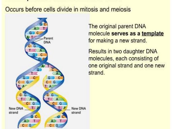 Prefix suffix worksheet | DOC | Biological Sciences | Science