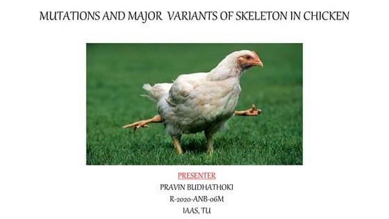 Lethals and mutations in poultry | PPTX