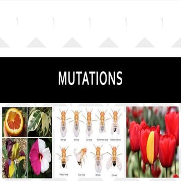 Heredity Science Grade 10 3rd Quarter | PPTX
