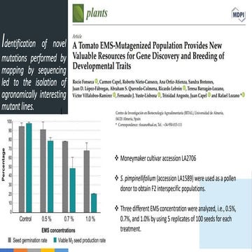 Mutation in tomato using EMS and gene discovery.pptx