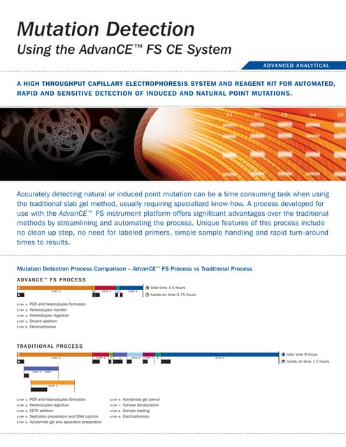 Mutation Detection Kit Pdf