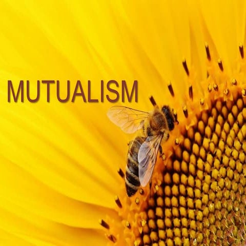 Mutualism | PPTX