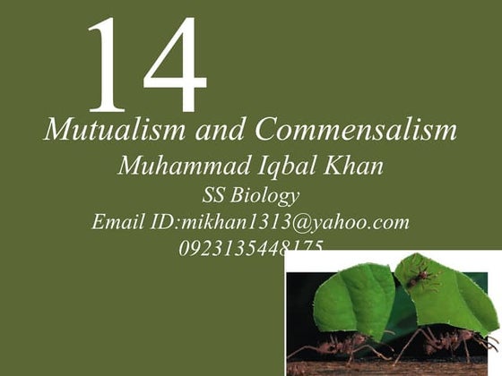 Symbiosis commensalism | PPT