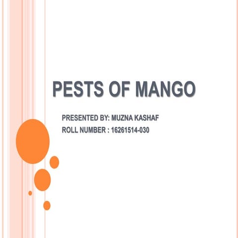 pests of mango | PPTX