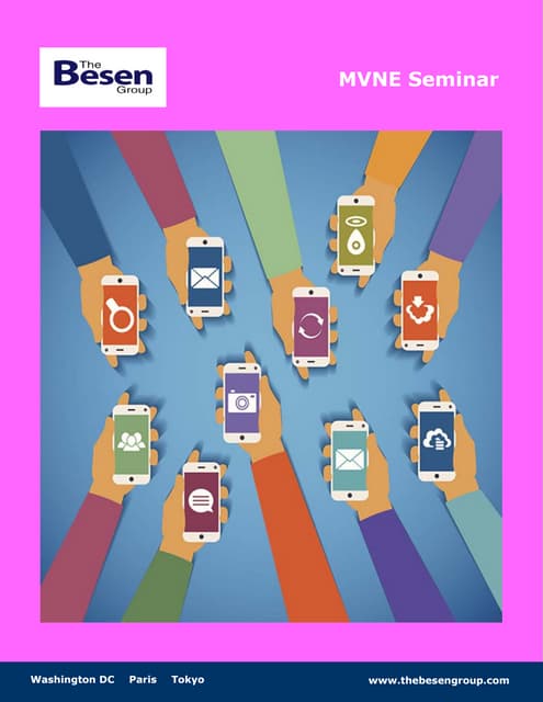 MVNO Seminar Brochure | PDF