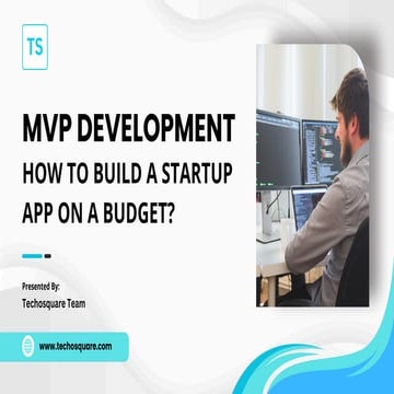 MVP Development: How to Build a Startup App on a Budget? | PDF