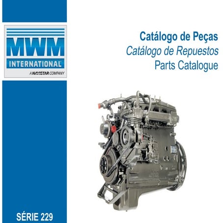 MWM SERIE 229.pdf