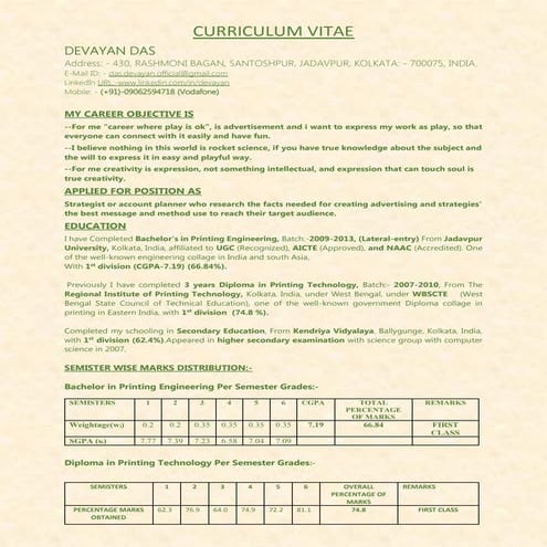 My curriculum vitae | PDF