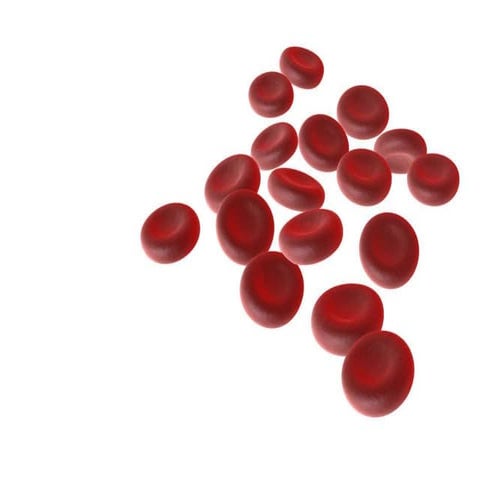 My favorite presentation (enhanced by http://VisualBee.com). | PPTX