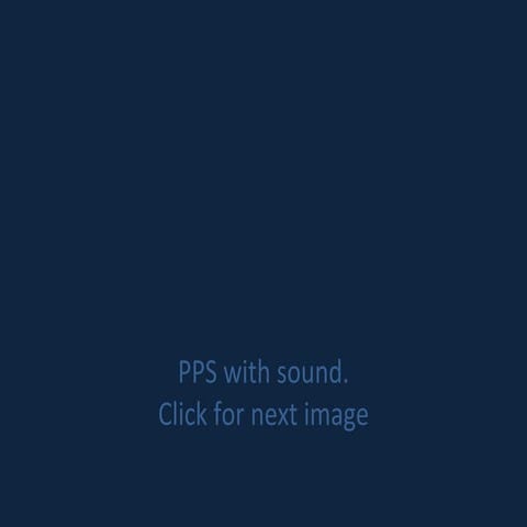 My first presentation | PPT