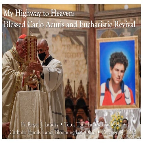 My-Highway-to-Heaven-Blessed-Carlo-Acutis-and-Personal-and-Ecclesial ...