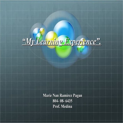 My Learning Experience | PPT