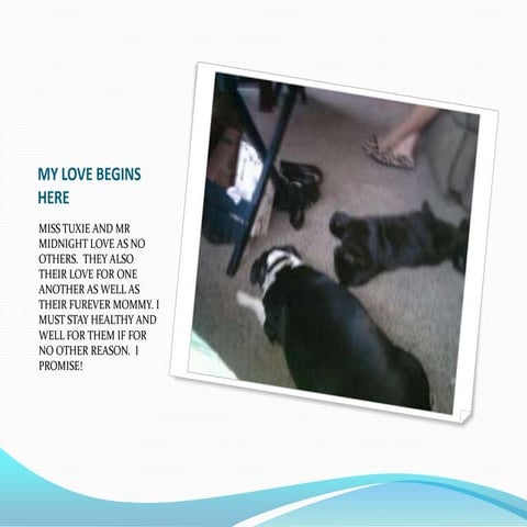 MY LOVE BEGINS HERE | PPTX