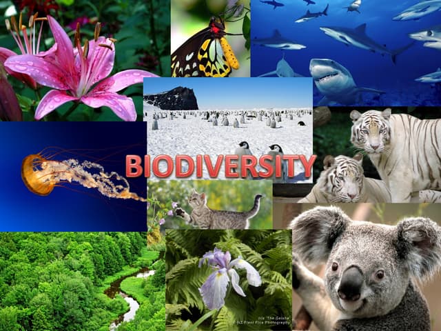 PPT OF BIODIVERSITY | PPT
