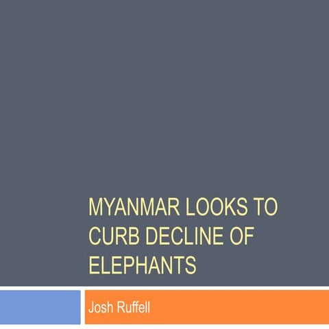 Basic Ballet Terms Every Beginner Should Know | PPTX