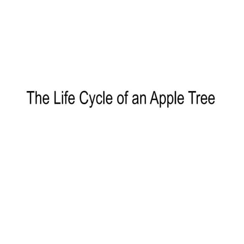 My Apple Tree Life Cycle | ODP