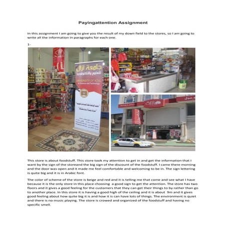 My shopping experience assignment | PDF
