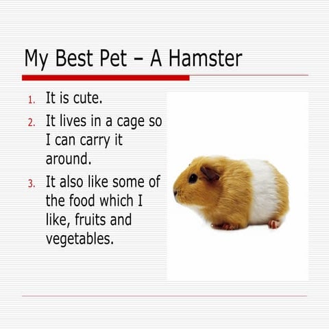 My best pet | PPT | Pets
