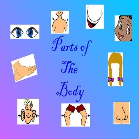 My body | PPT | Foot Health | Diseases and Conditions