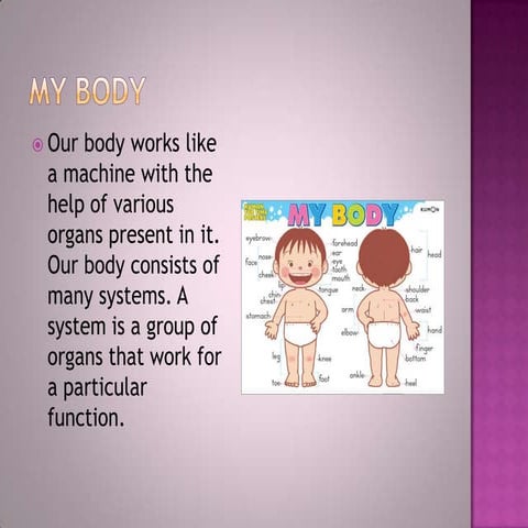 My body | PPTX | Lung and Respiratory Health | Diseases and Conditions