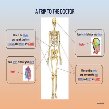 Human body powerpoint | PPT