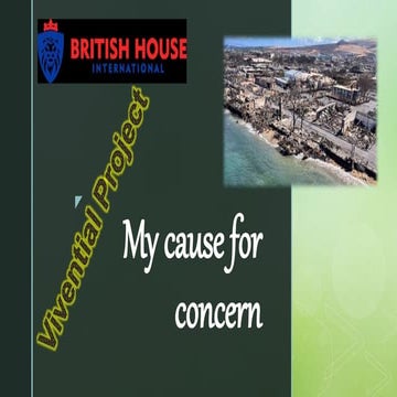 My cause for concern in the world and solutions | PPTX