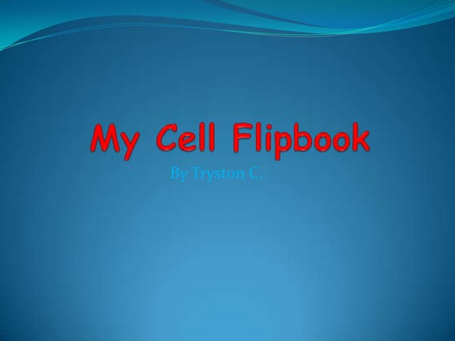 Mitosis Flip Book | PPTX