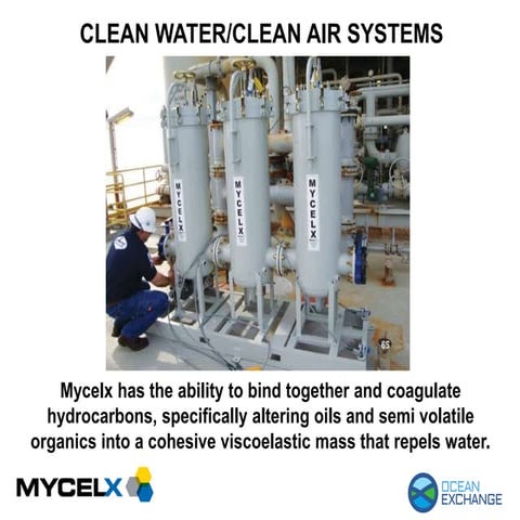 Mycelx | PPTX | Chemistry | Science