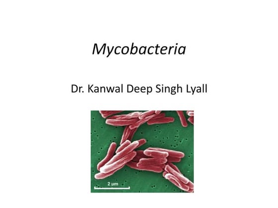 Mycobacterium | PPTX | Lung and Respiratory Health | Diseases and ...