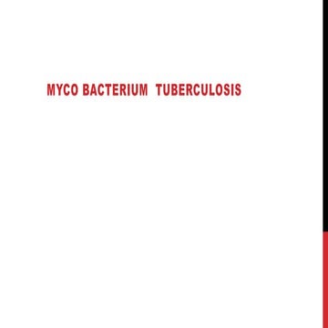 Basics and Pathology of mycobacteria.pptx