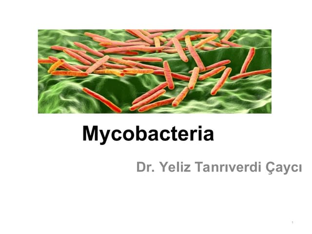 Mycobacterium tuberculosis(Microbiology) | PPTX