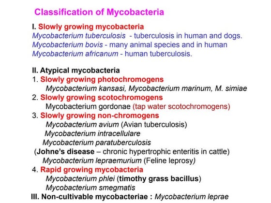 Lecture Mycobacterium12345566778889.pptx