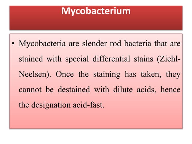 Mycobacterium tuberculosis(Microbiology) | PPTX
