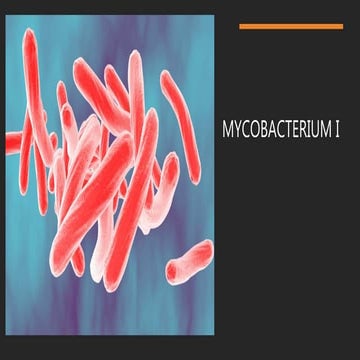 Mycobacterium I.pptx