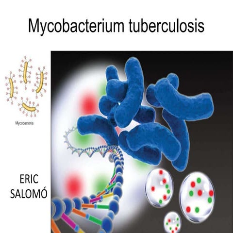 Mycobacterium tuberculosis | PPTX