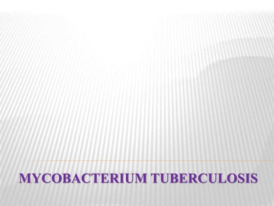Tuberculosis Presentation | PPT