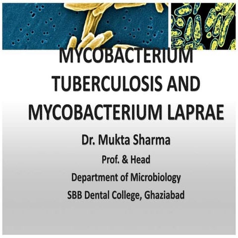 Mycobacterium tuberculosis | PPTX