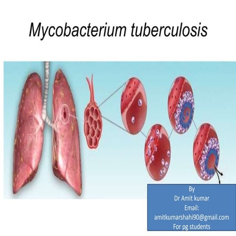 Mycobacteriun tuberculosis | PPTX