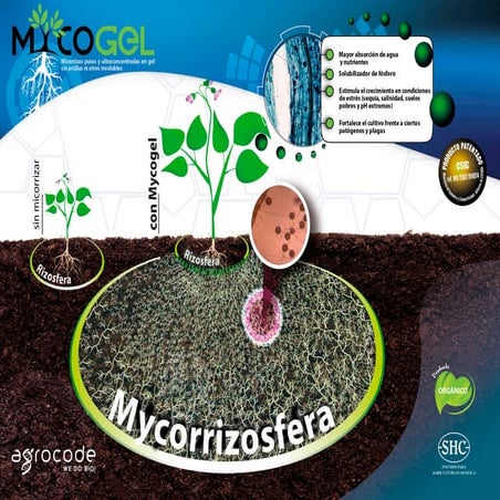 Mycogel | Kimitec Group | PDF