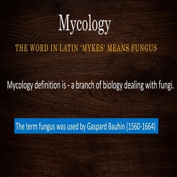 Mycology (Fungi Introduction) | PPTX