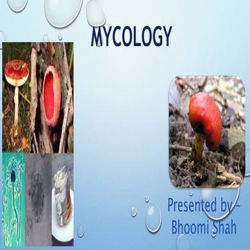Mycology.pptx