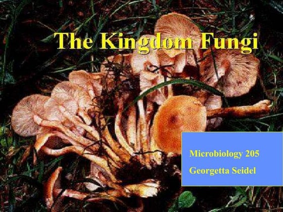 Fungi and ecosystem mode of nutrition | PPT