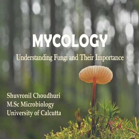MYCOLOGY : Understanding Fungi and Their Importance | PPTX
