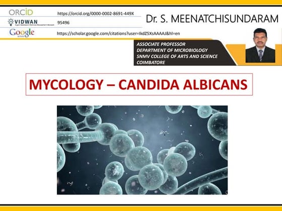 Candidiasis | PPT